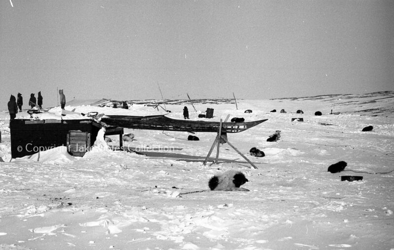 Photos 81-100 - Inuit Heritage Photos